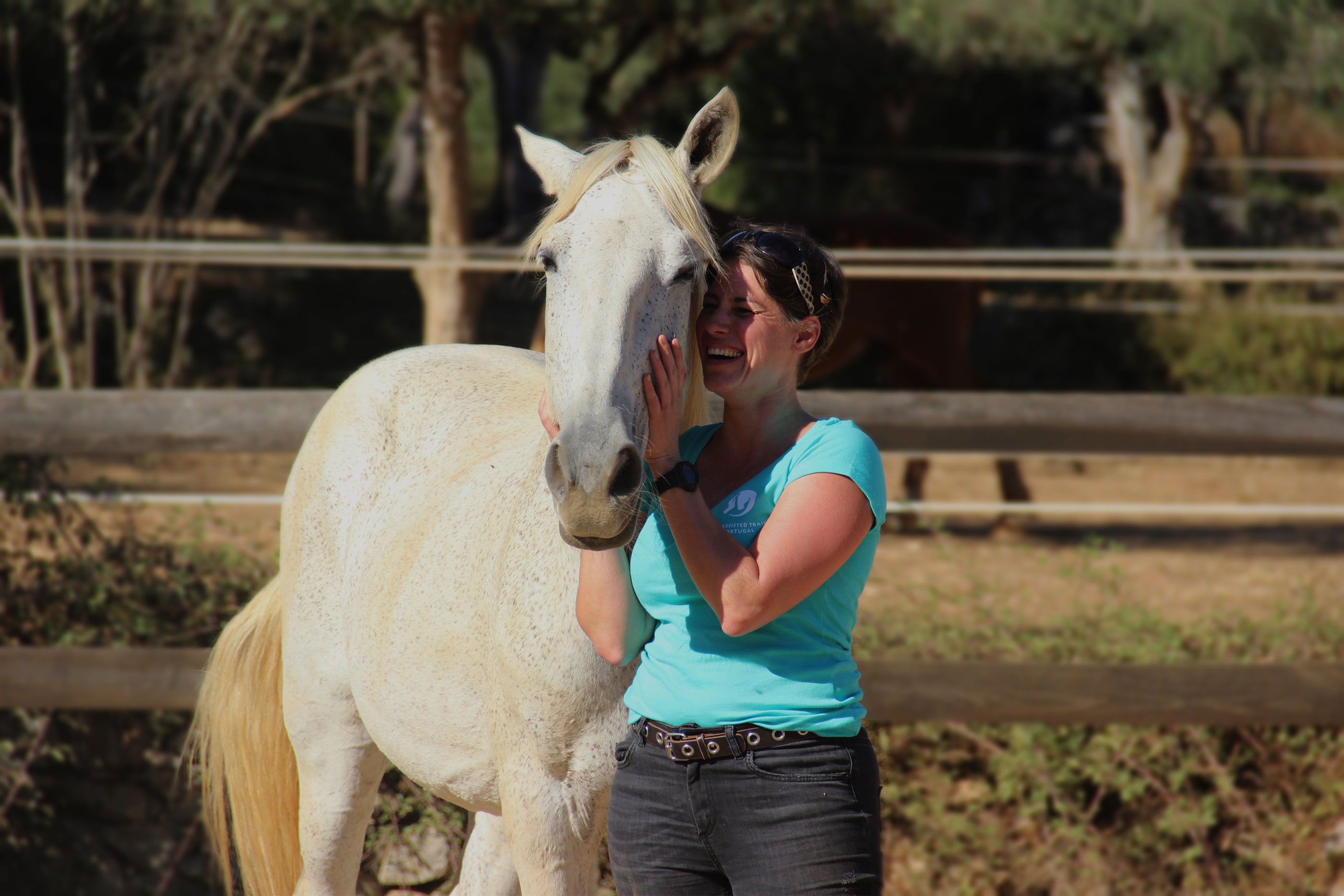 - Zeus the Coach - Maike Kühl - Work Life Coaching